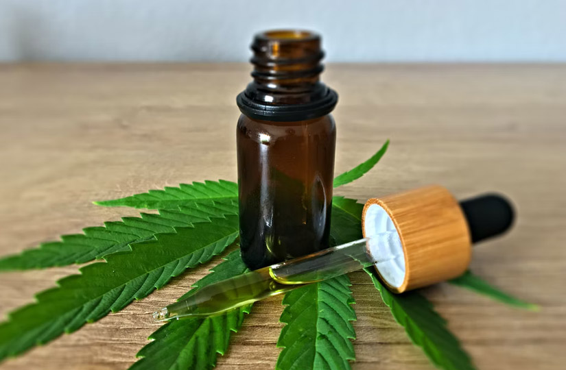Конопляное CBD масло: почему мировые звезды подсели на него – статья на ...